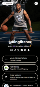 Snipfeed - Link In Bio for Instagram to sell anything around the world